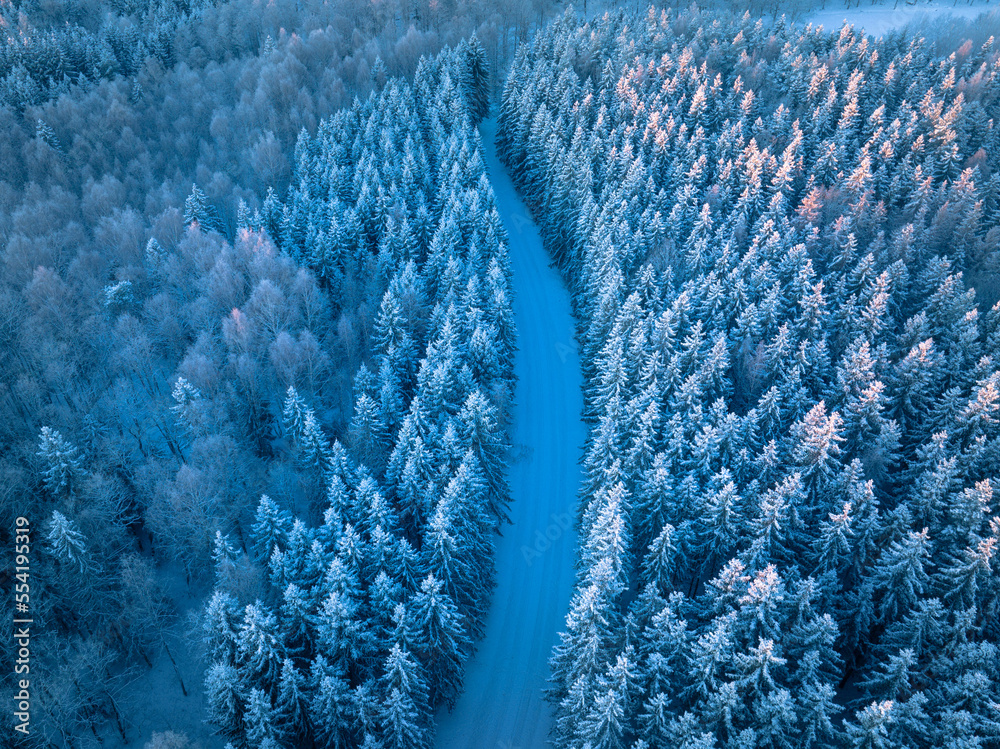 Drone overview of Forest Road leading trough the dense forests of ...