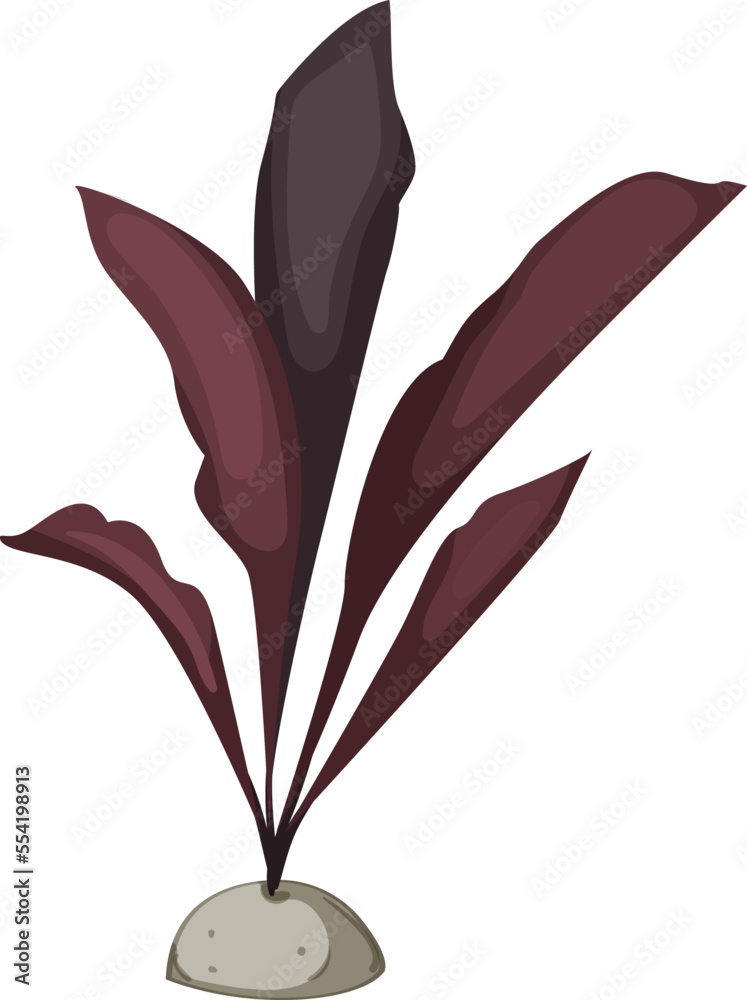aquatic aquarium plant cartoon. aquatic aquarium plant sign. isolated ...