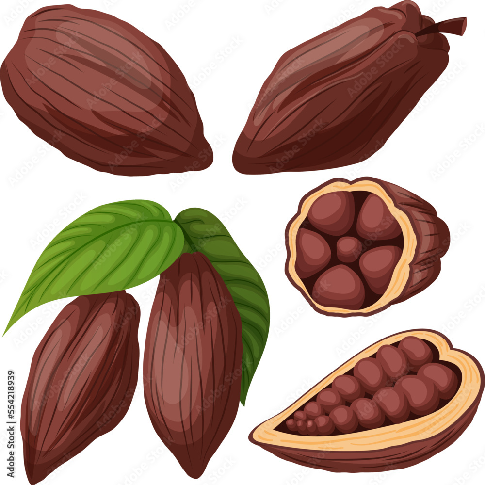 cocoa chocolate set cartoon vector. cacao bean, plant tree, organic ...