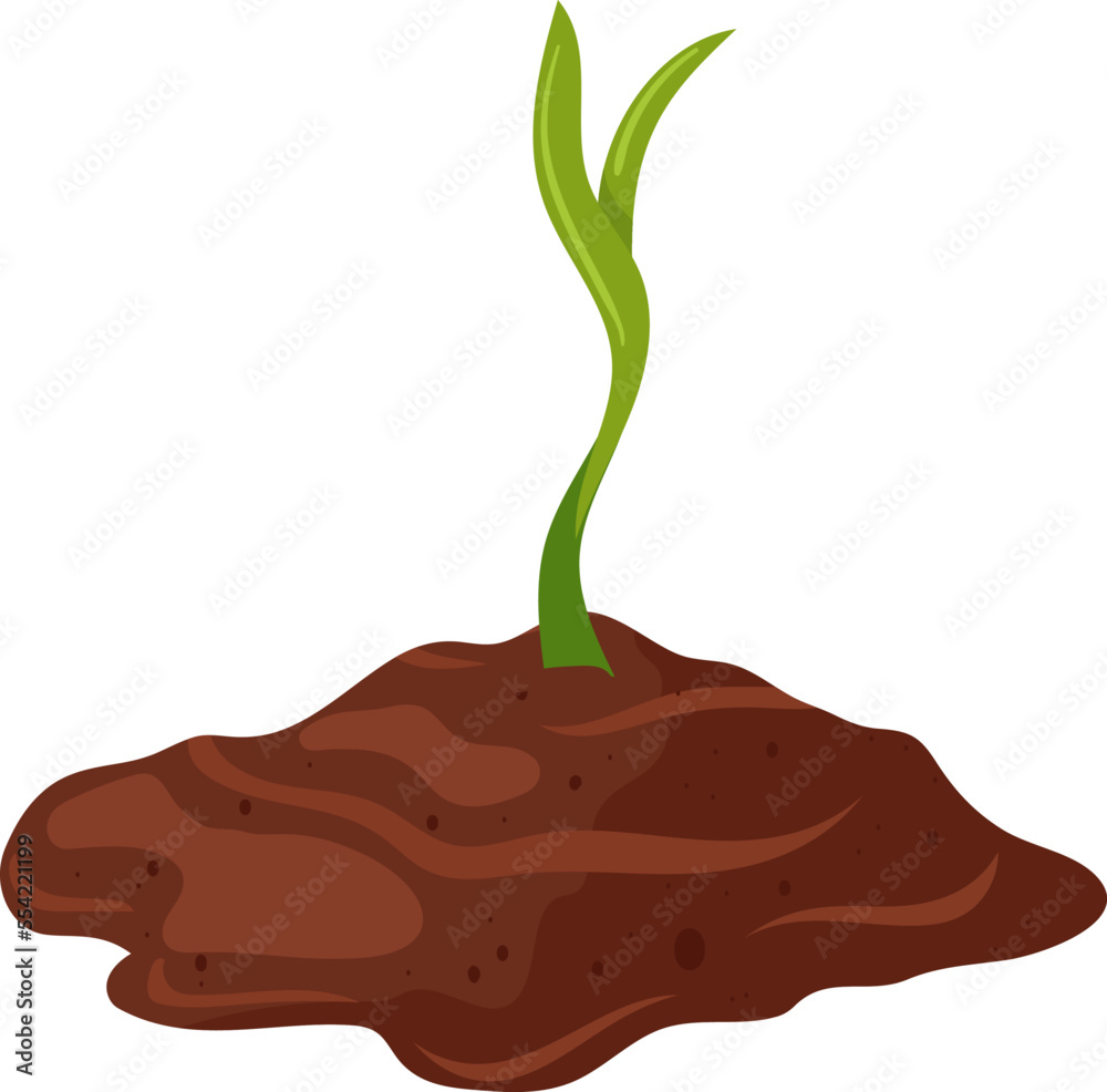 plant growth cartoon flower sprout seed life, seeding grow, bloom cycle ...