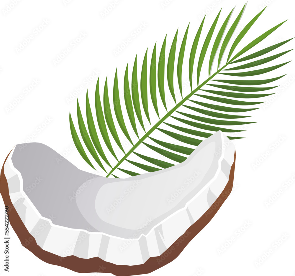 coconut fruit cartoon. coco milk, green leaf, palm, tropical drink ...