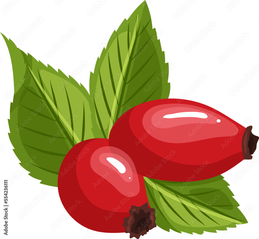 rosehip rose hip cartoon. fruit plant, berry wild, briar red, brier ...