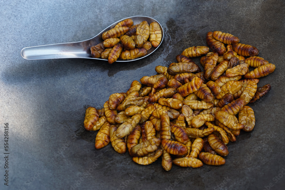 Closeup fried silk worms on pan. Concept, weird food. Insects eating ...