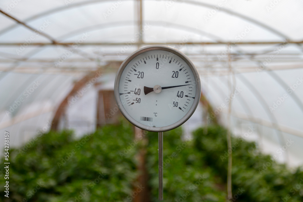 Male farmer watching at thermometer.Thermometer enables efficient and ...