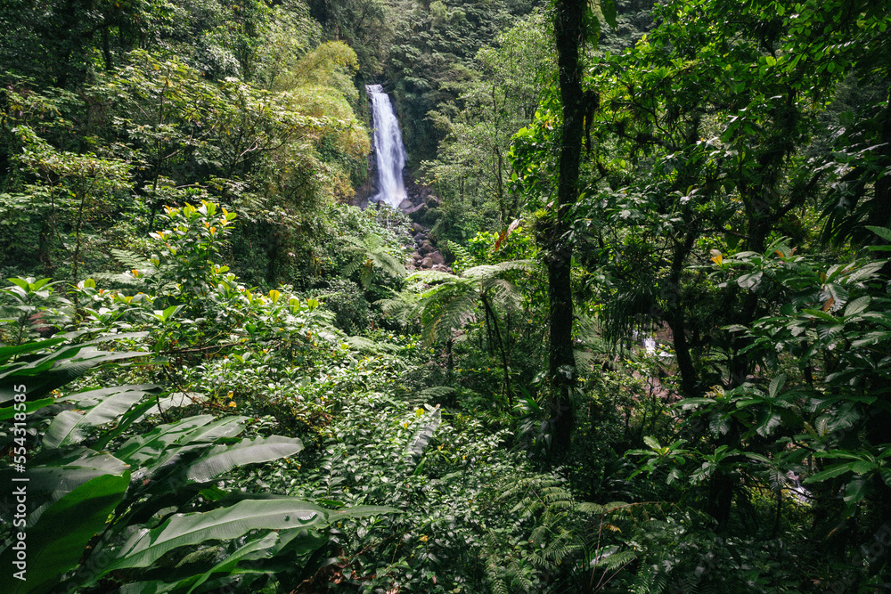 Trafalgar Falls on the island of Dominica in the Caribbean, an ...