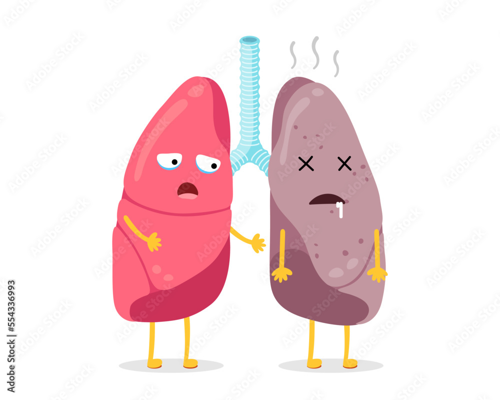 Lungs characters healthy and unhealthy comparison. Human lung pair good ...