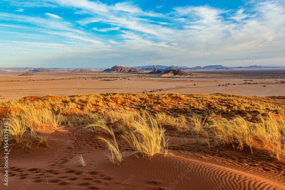 Elim dune, Sesriem, Namib-Naukluft National Park, Namib Desert; Namibia ...