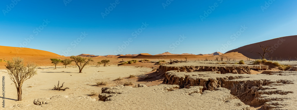 Deadvlei, a white clay pan surrounded by the highest sand dunes in the ...