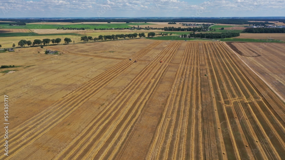 An aerial view of combines harvesting wheat. Mass harvesting of wheat ...