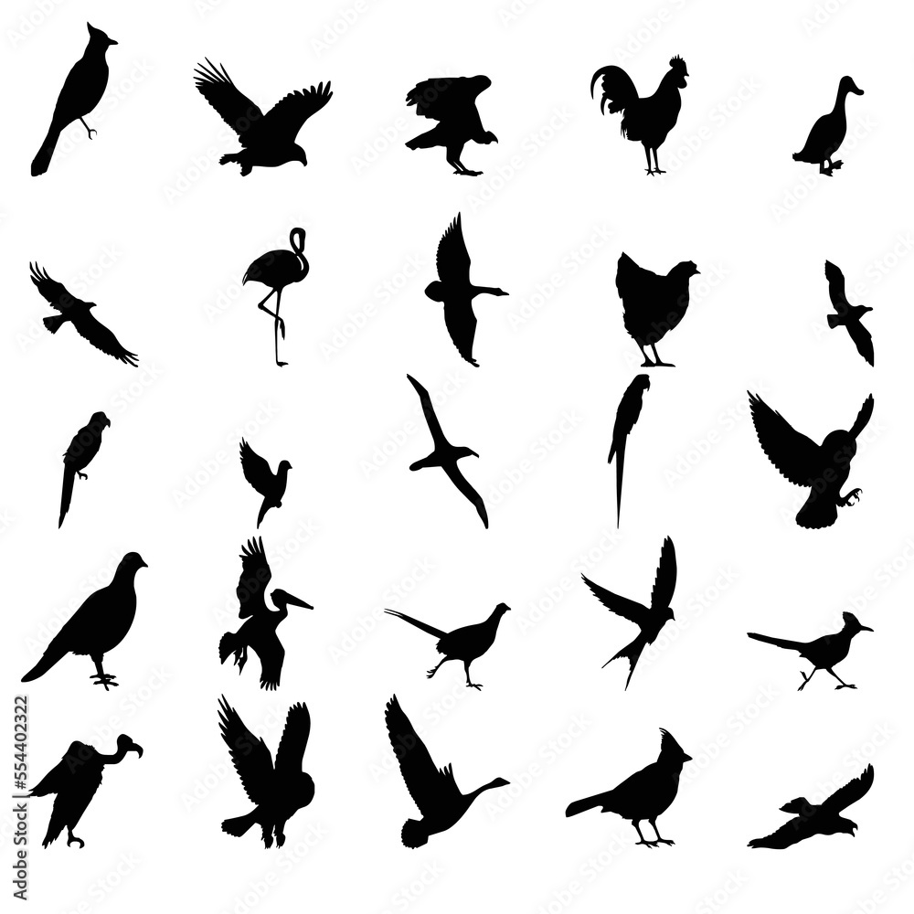 Vector seamless pattern of hand drawn wild predator bird silhouette ...