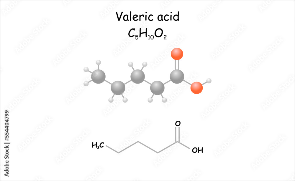 Stylized 2D molecule model/structural formula of valeric acid. Stock ...