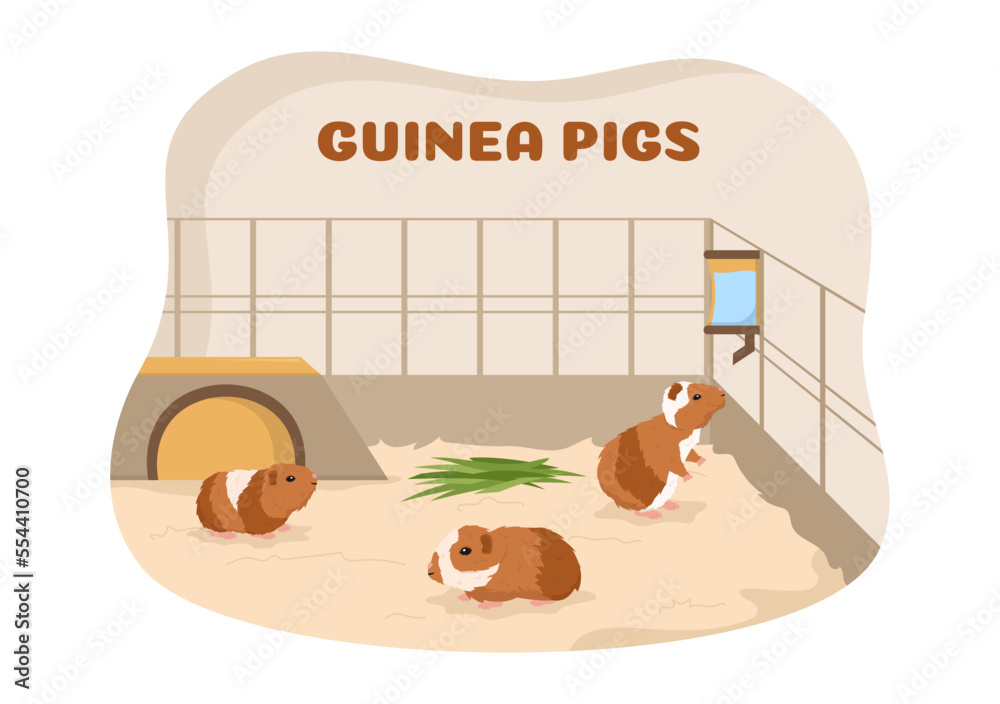 Guinea Pig Pets Hamsters Animals Breeds Suitable for Poster or Greeting ...
