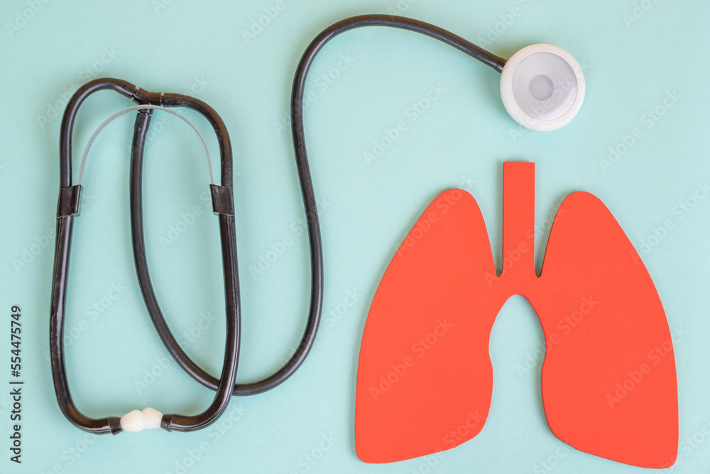 Lungs paper decorative model with medical stethoscope on light blue ...