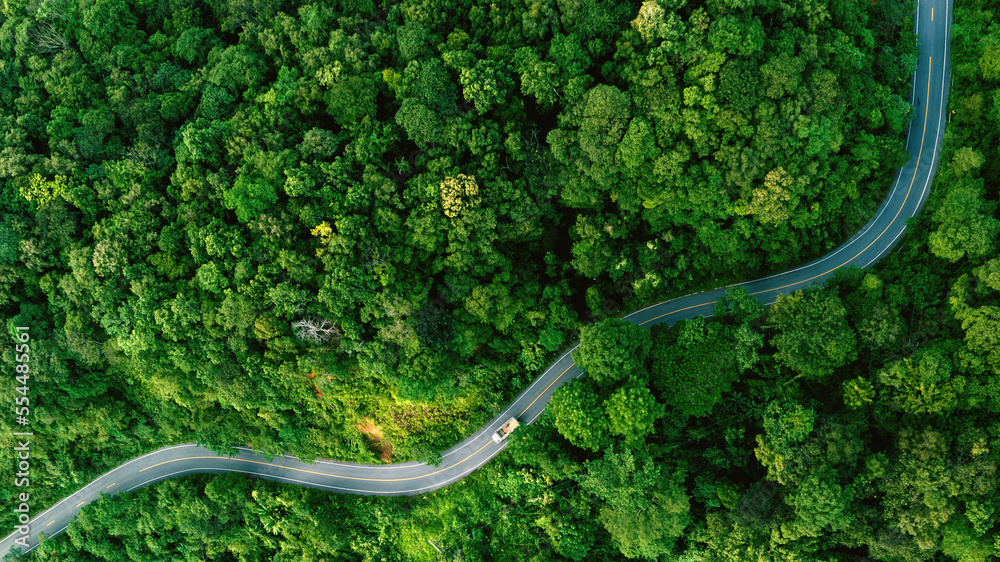 Road in the middle of the forest , road curve construction up to ...