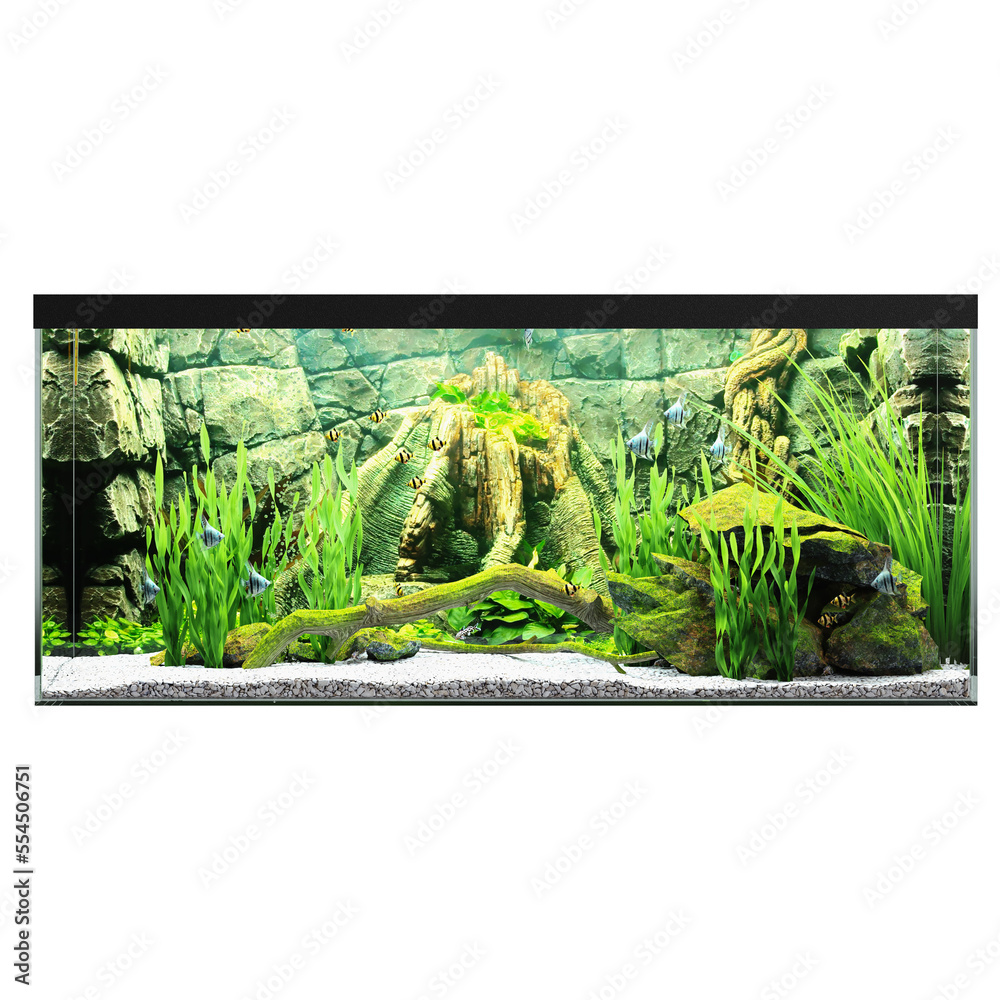 3d illustration of aquarium isolated on transparent background Stock ...