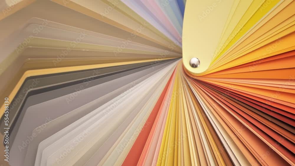 The graphic designer chooses colors from the color palette guide ...