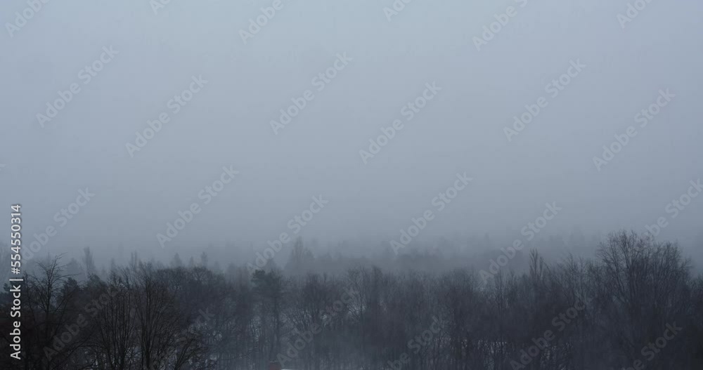 Trees shaking in heavy winds with heavy snow fall. Layers of lines of ...