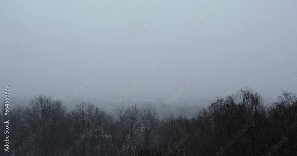 Trees shaking in heavy winds with heavy snow fall. Layers of lines of ...