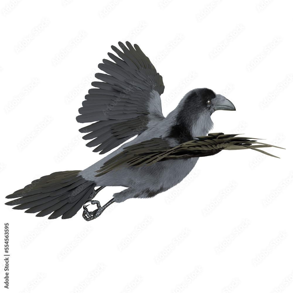 Raven isolated on white background 3d illustration Stock Illustration ...