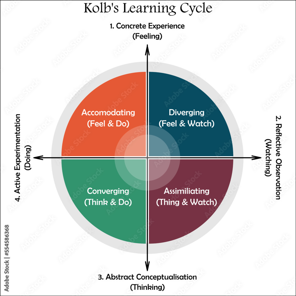 Kolb's learning cycle in an infographic template Stock Vector | Adobe Stock