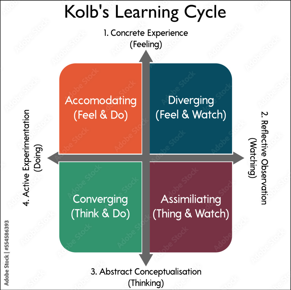 Kolb's learning cycle in an infographic template Stock Vector | Adobe Stock