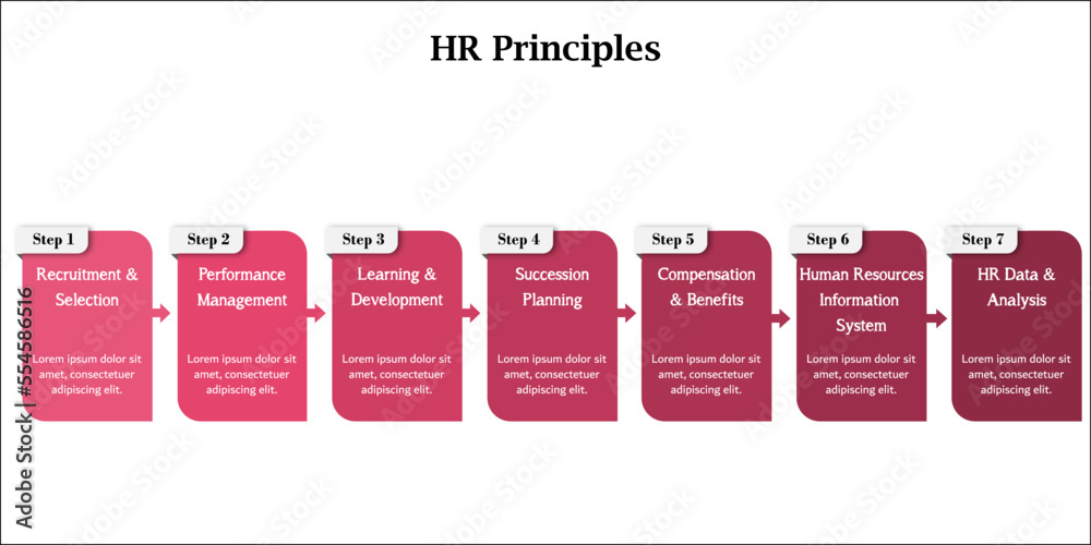 HR Principles in an infographic template Stock Vector | Adobe Stock