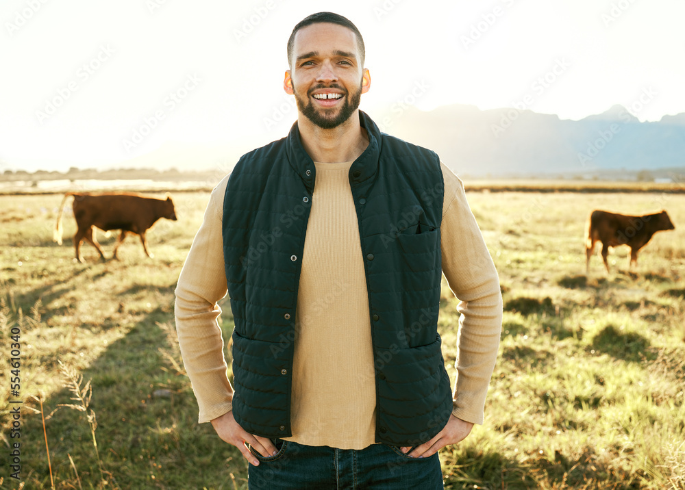Cow, portrait and countryside cattle man on a grass field looking proud ...