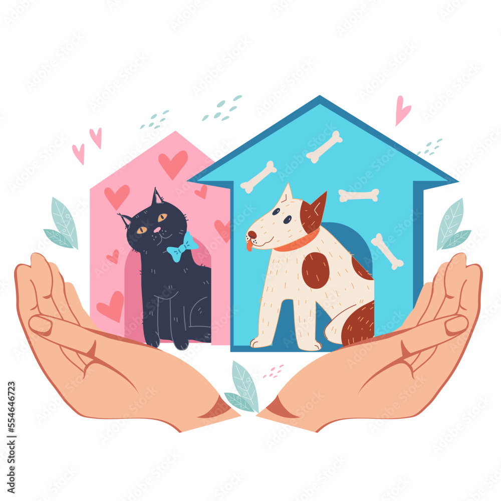 Animals shelter and medical care, Donation, volunteering for homeless ...