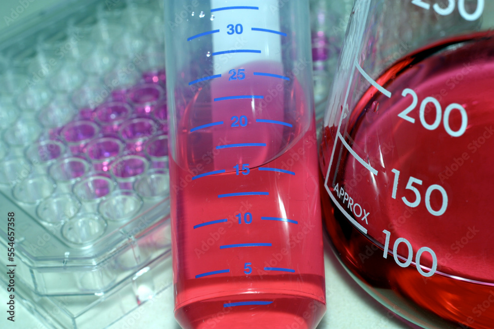 Tube, 96-well plate and beaker with culture medium containing phenol ...