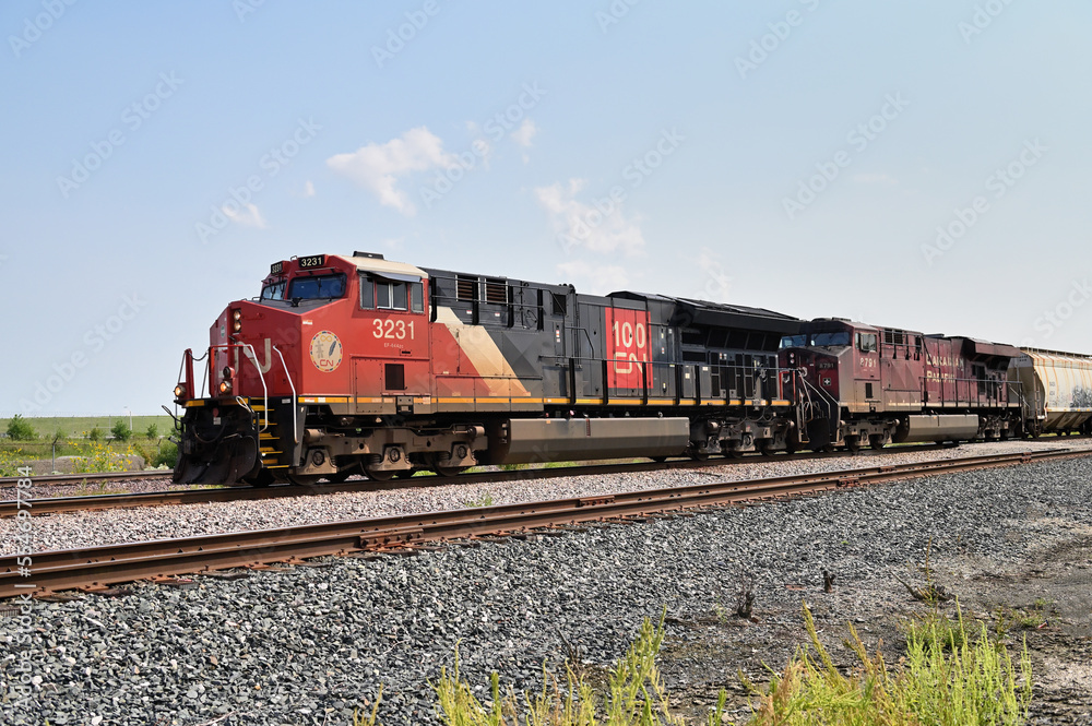 Locomotives, led by an off-road Canadian National Railway unit, power a ...