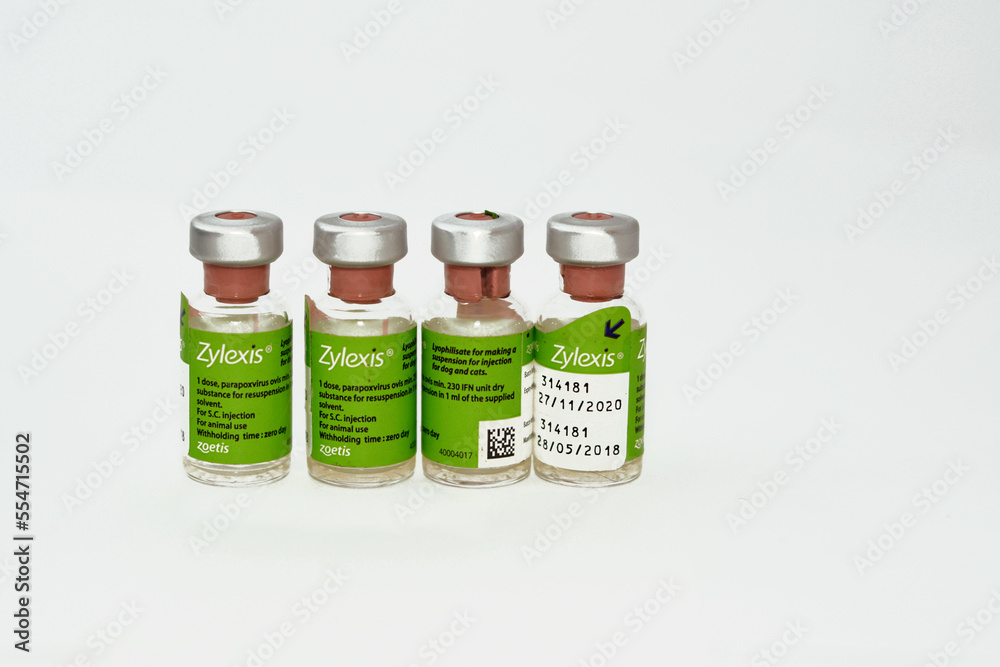 Cairo, Egypt, December 17 2022: Zylexis vaccine for prevention and ...