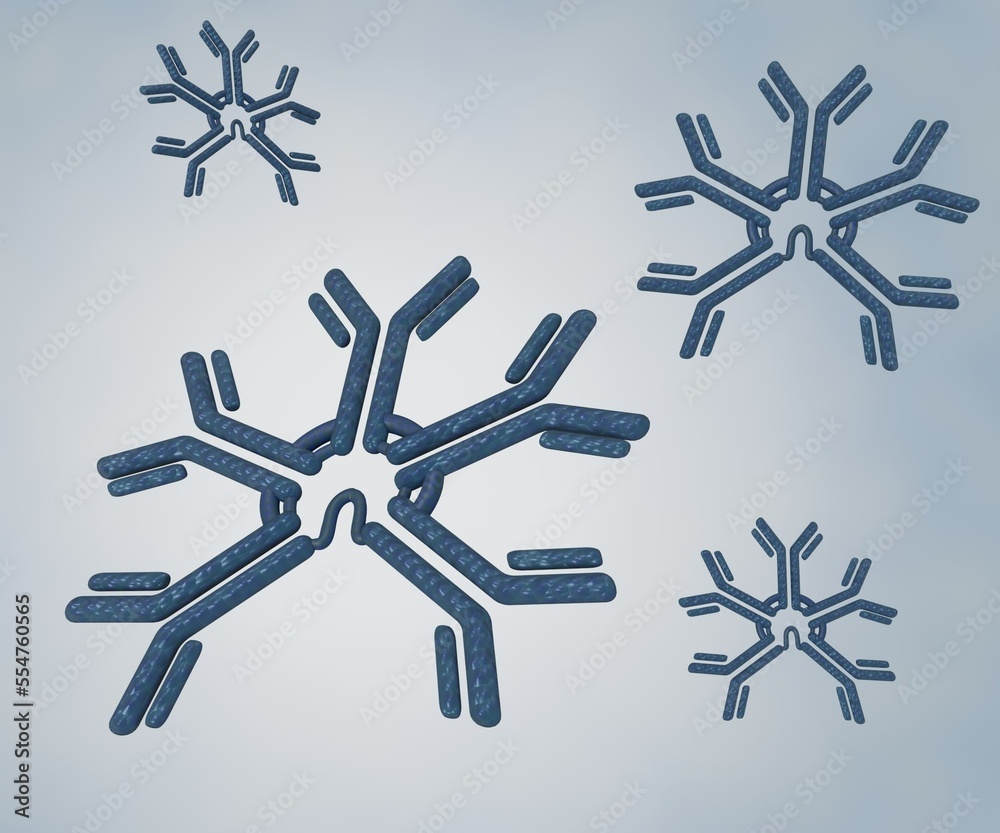 The Redefined Structure of Antibody IgM. Isolated new structure of ...