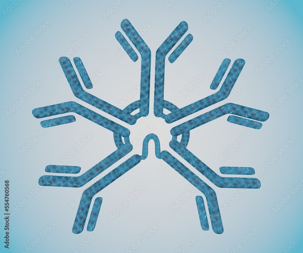 The Redefined Structure of Antibody IgM. Isolated new structure of ...