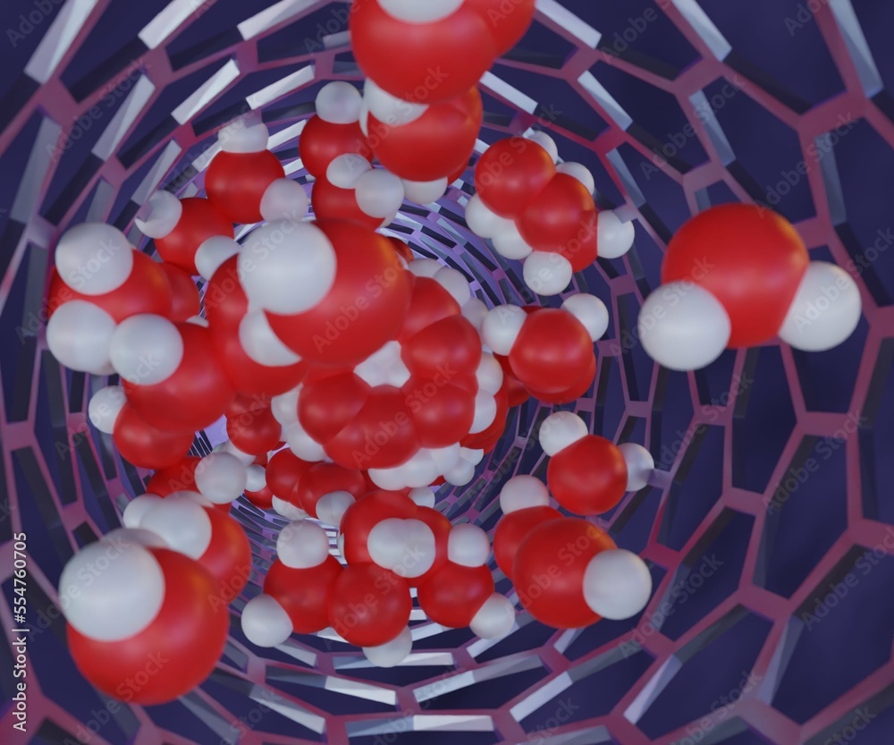 The structure and dynamics of water molecules inside a carbon Nano tube ...