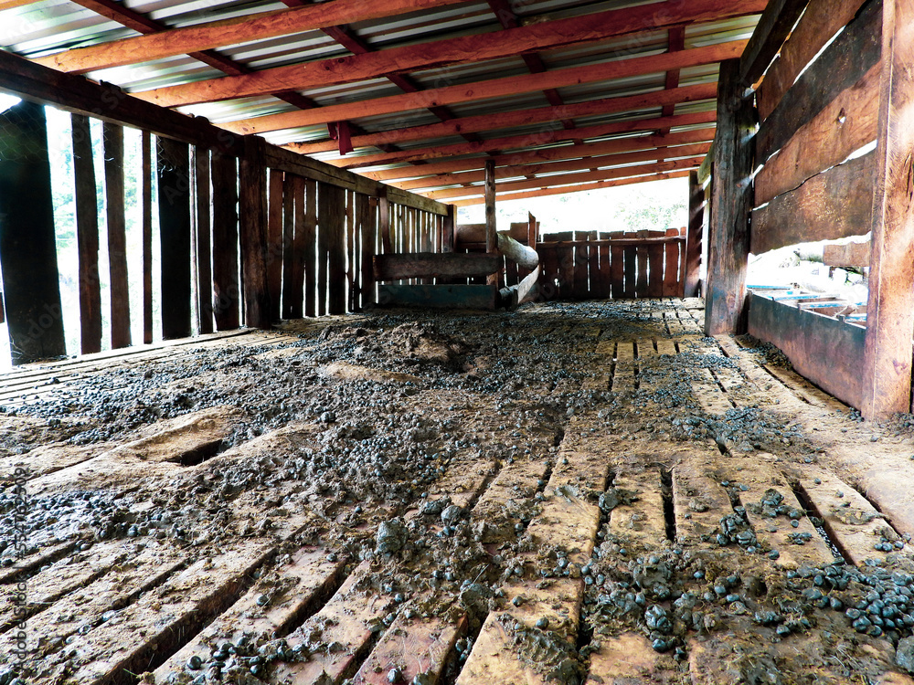 Sistema de semi-estabulamiento de animales en corral principalmente ...