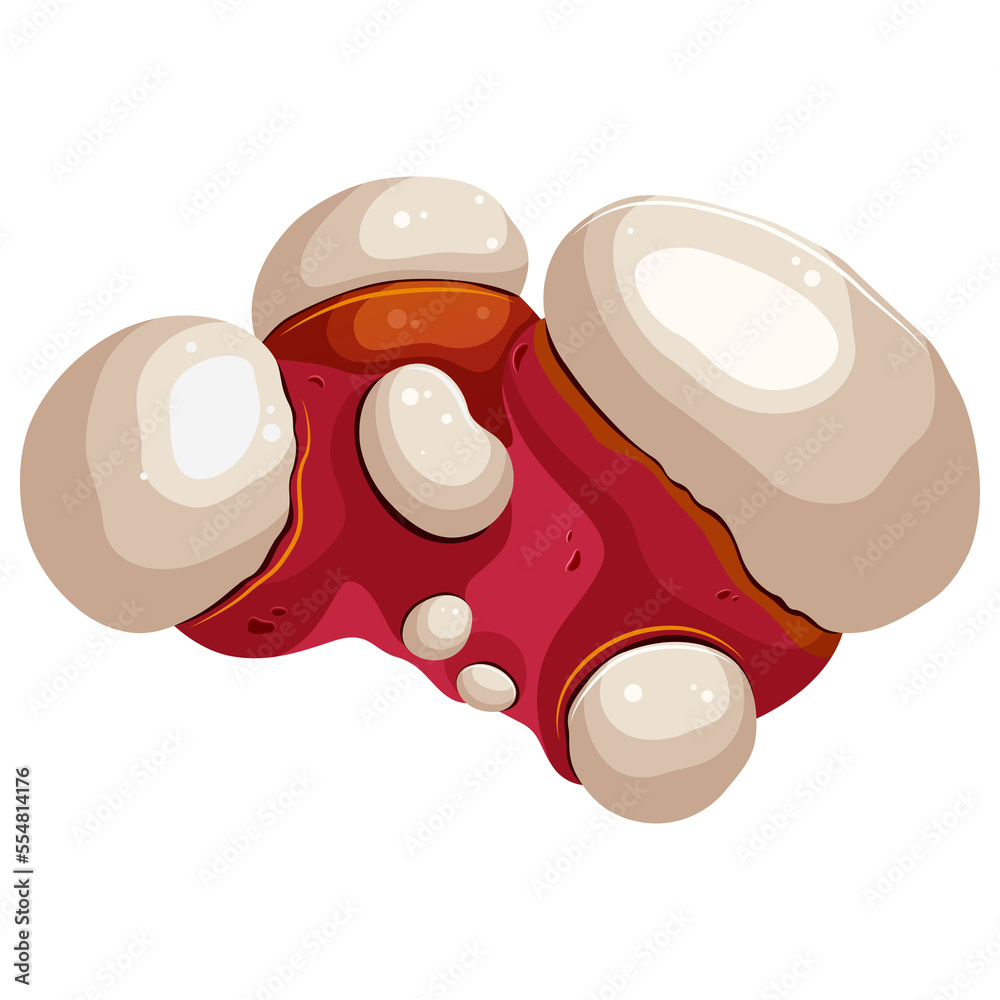 Illustration of mushroom named Rubroboletus Satanas (Satanic mushroom ...