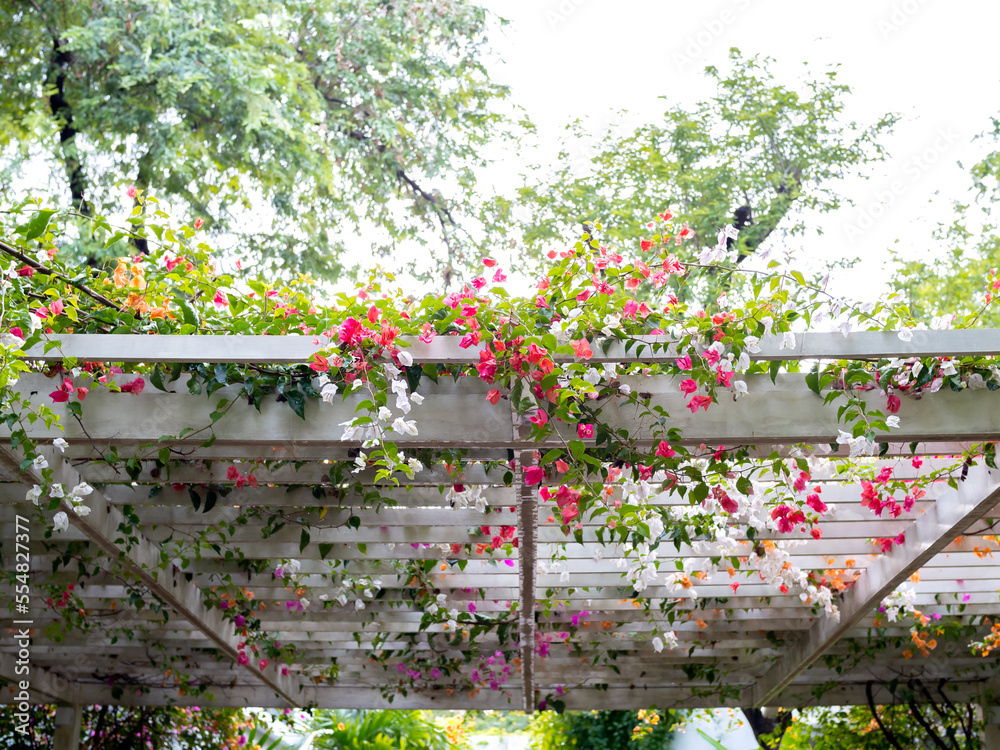 Flowers decoration on wooden pergola roof. Landscape home design ...