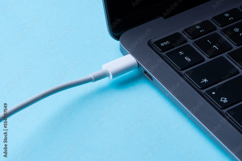Laptop power. Cable with modern connector for charging and syncing your ...