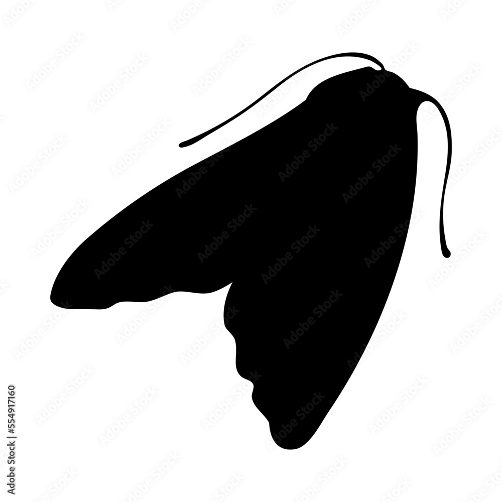 Moth Silhouette Stock Vector | Adobe Stock