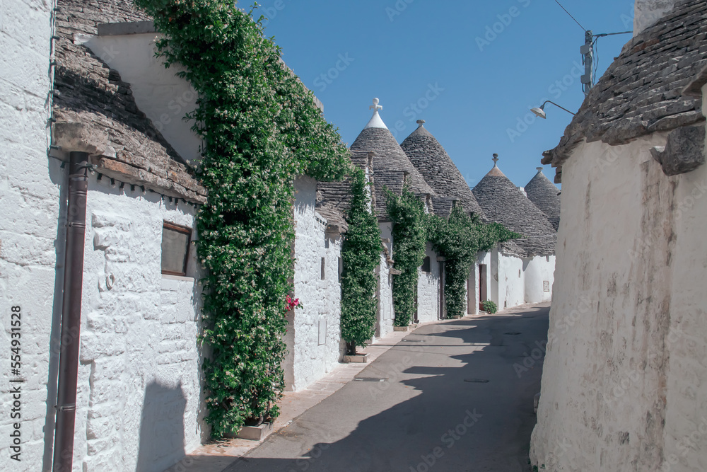 Trullos (trulli en italiano) de la callejuela Vico Francesco Lippolis ...