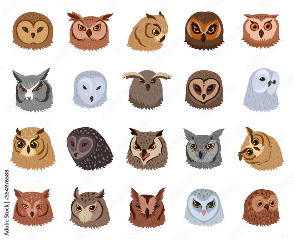 Cartoon owl faces. Wild forest birds heads, adorable feathered owls ...
