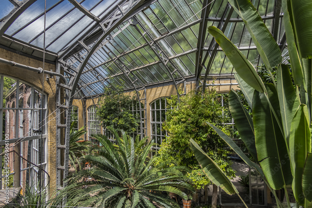 Different plants inside greenhouse in Hortus Botanicus. Amsterdam has ...