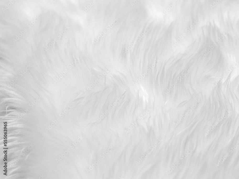 White clean wool texture background. light natural sheep wool. white ...