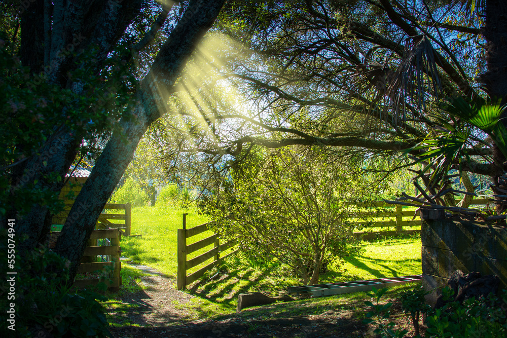 Open farm gate seen at the entrance to a sunlit farm meadow, from ...
