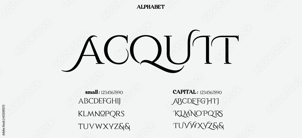 Digital modern with small and capital alphabet font and vector ...