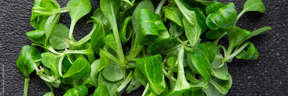 fresh green salad mache leaves healthy meal food snack on the table ...