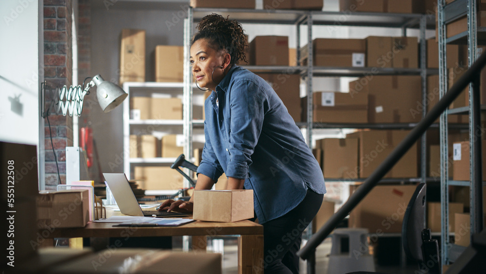 Female Inventory Manager Using Laptop Computer in Storeroom, Preparing ...