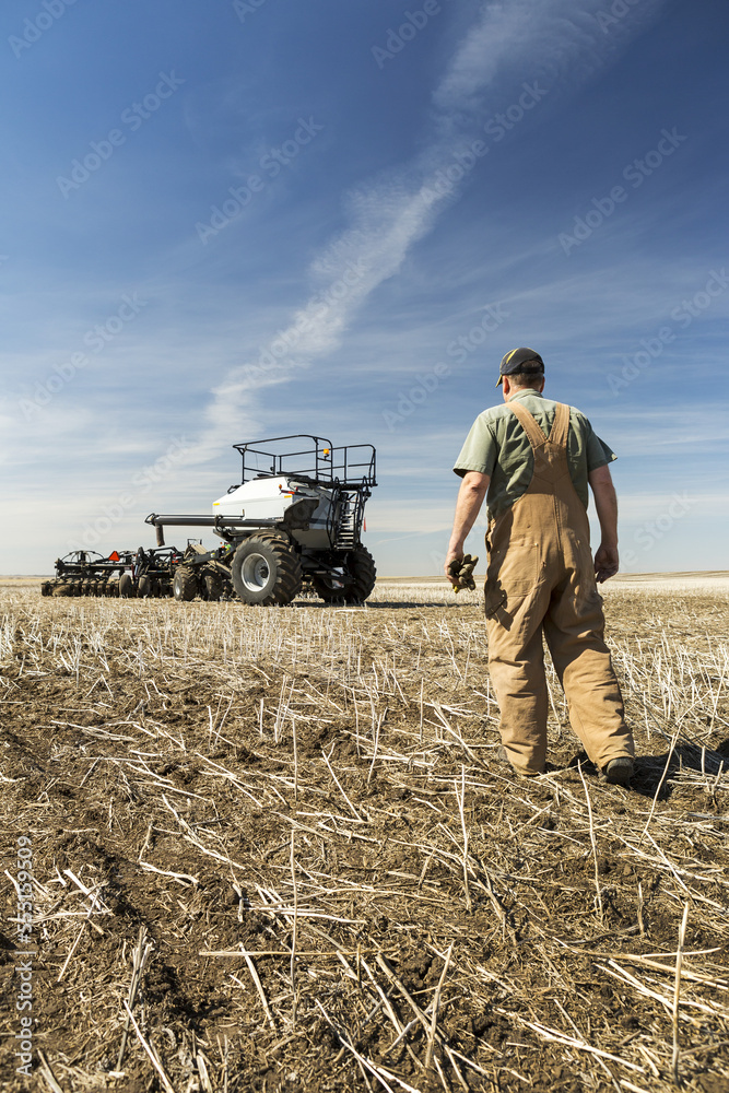 Farmer walking towards hopper and air seeder in a canola stubble field ...