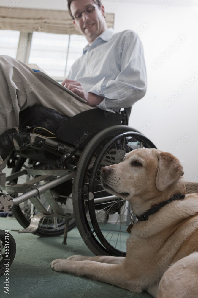 Service dog sitting near a man in a wheelchair with a Spinal Cord ...