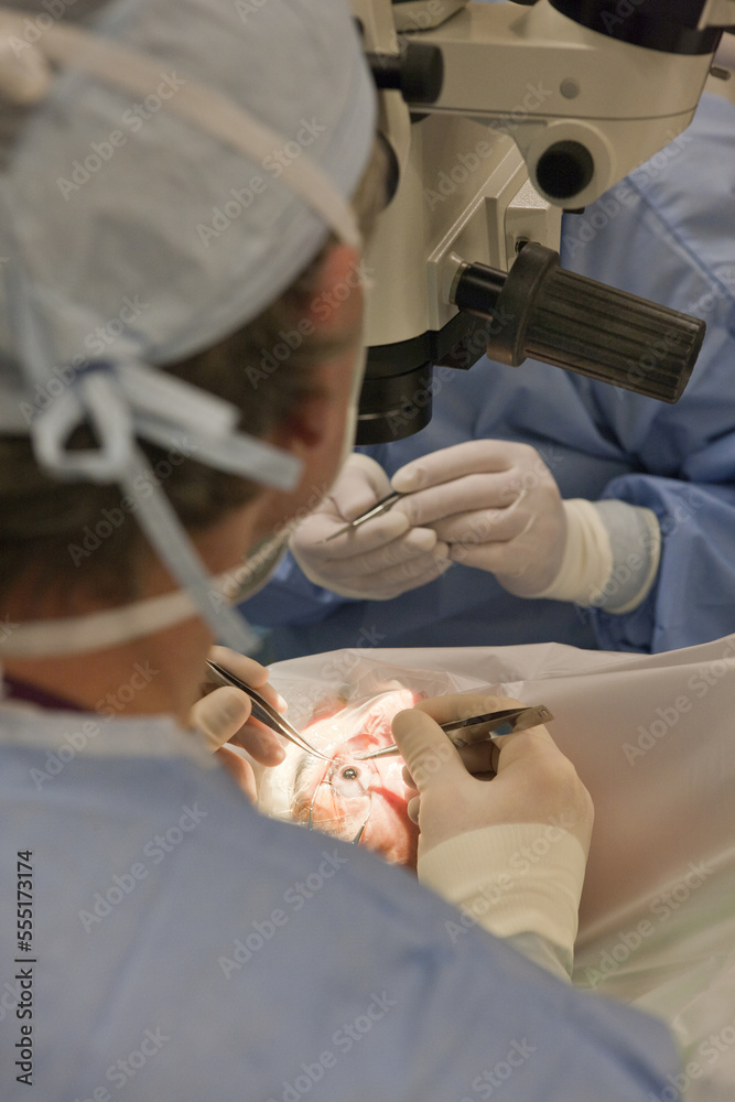 Doctor using suture and technologist using needle holder to tie suture ...